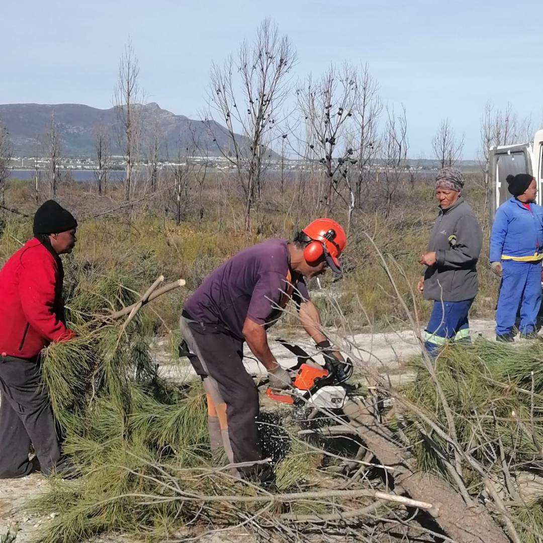Kogelberg Biosphere Reserve - Biodiversity for a Livable Climate